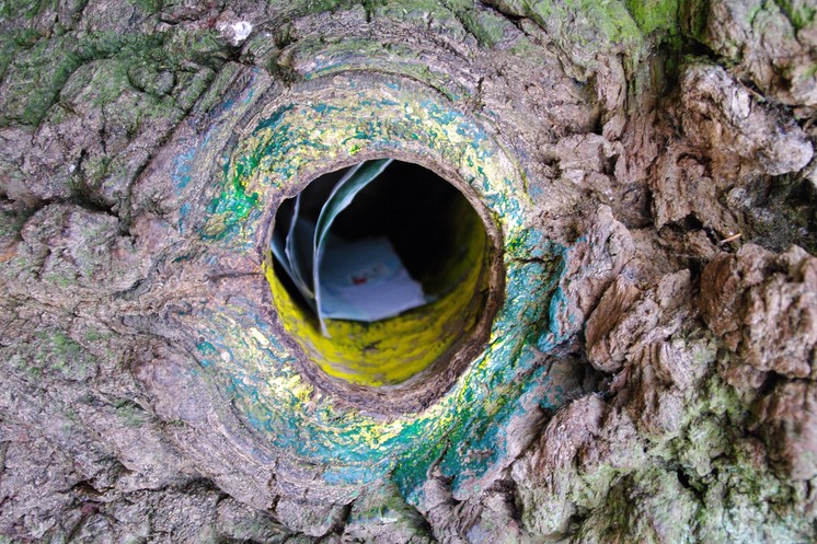 Teil 28: Ostseeküste – von Lübeck bis Kiel